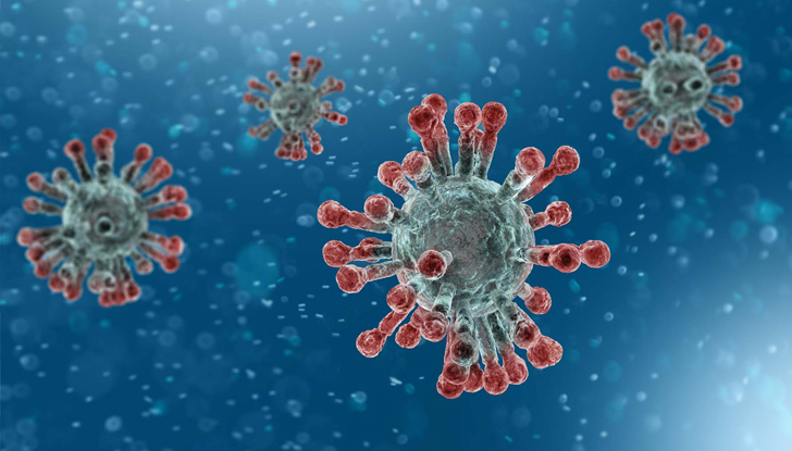 Coronavirus Overview